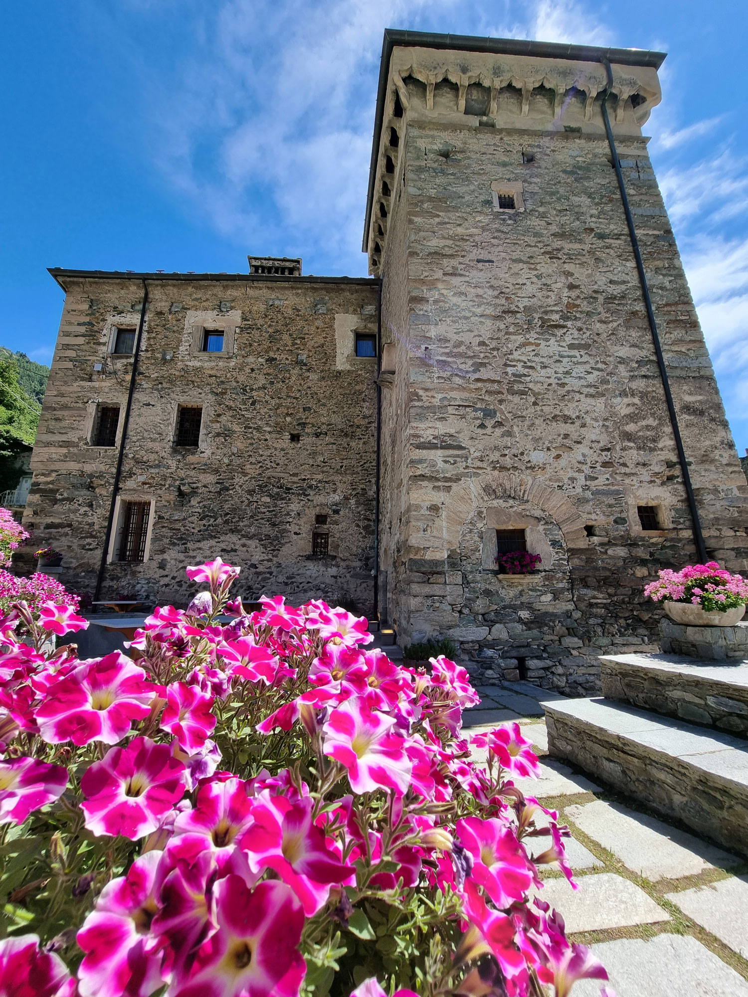 Il castello di Avise - Tascapan